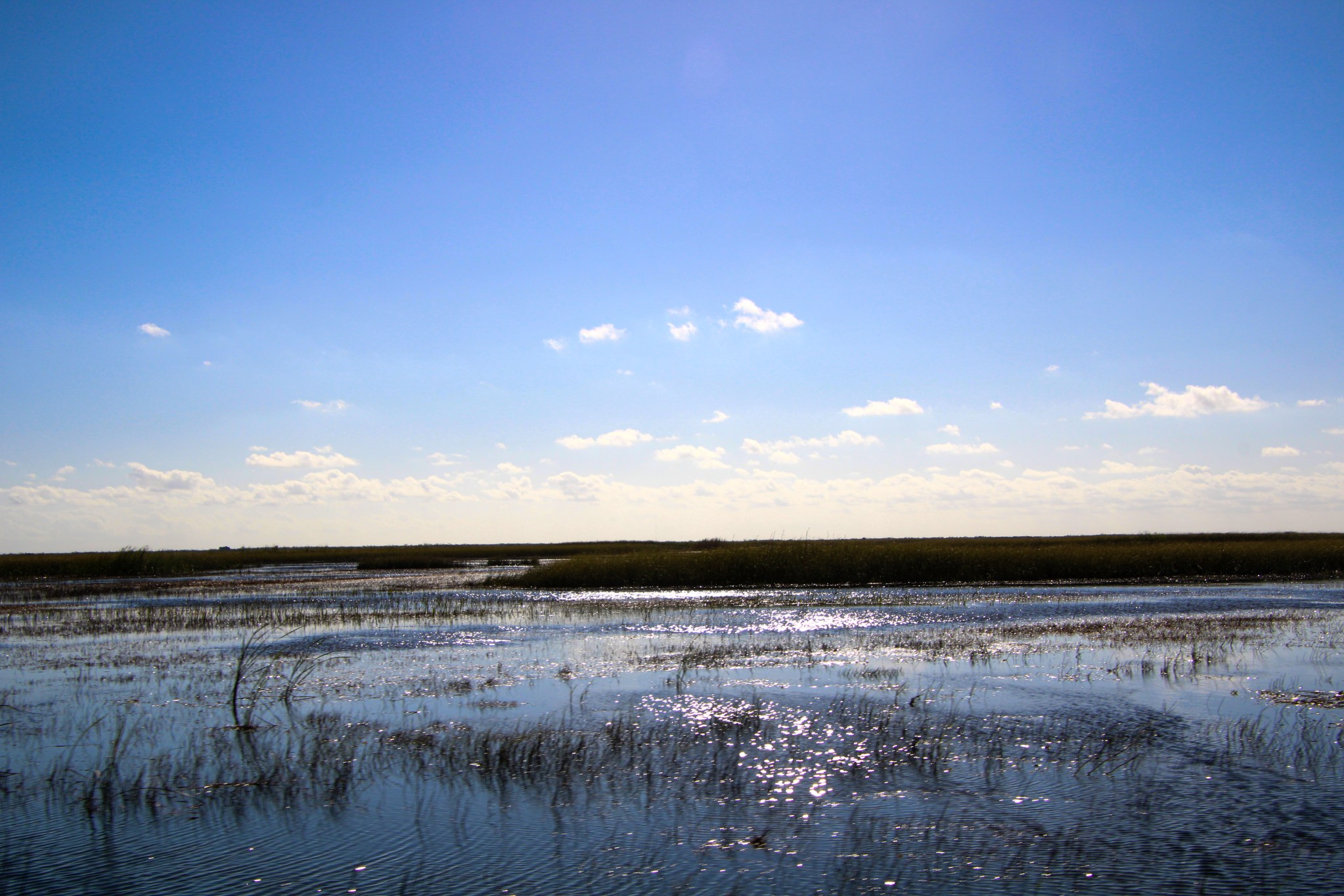 Fun in the Sun – MIAMI EDITION – ALLI DONOVAN