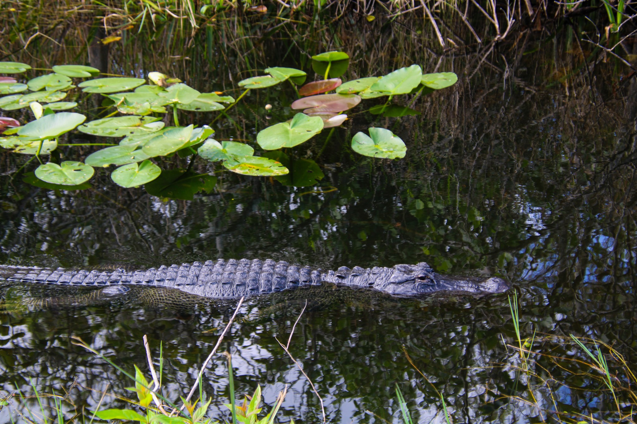 Fun in the Sun – MIAMI EDITION – ALLI DONOVAN