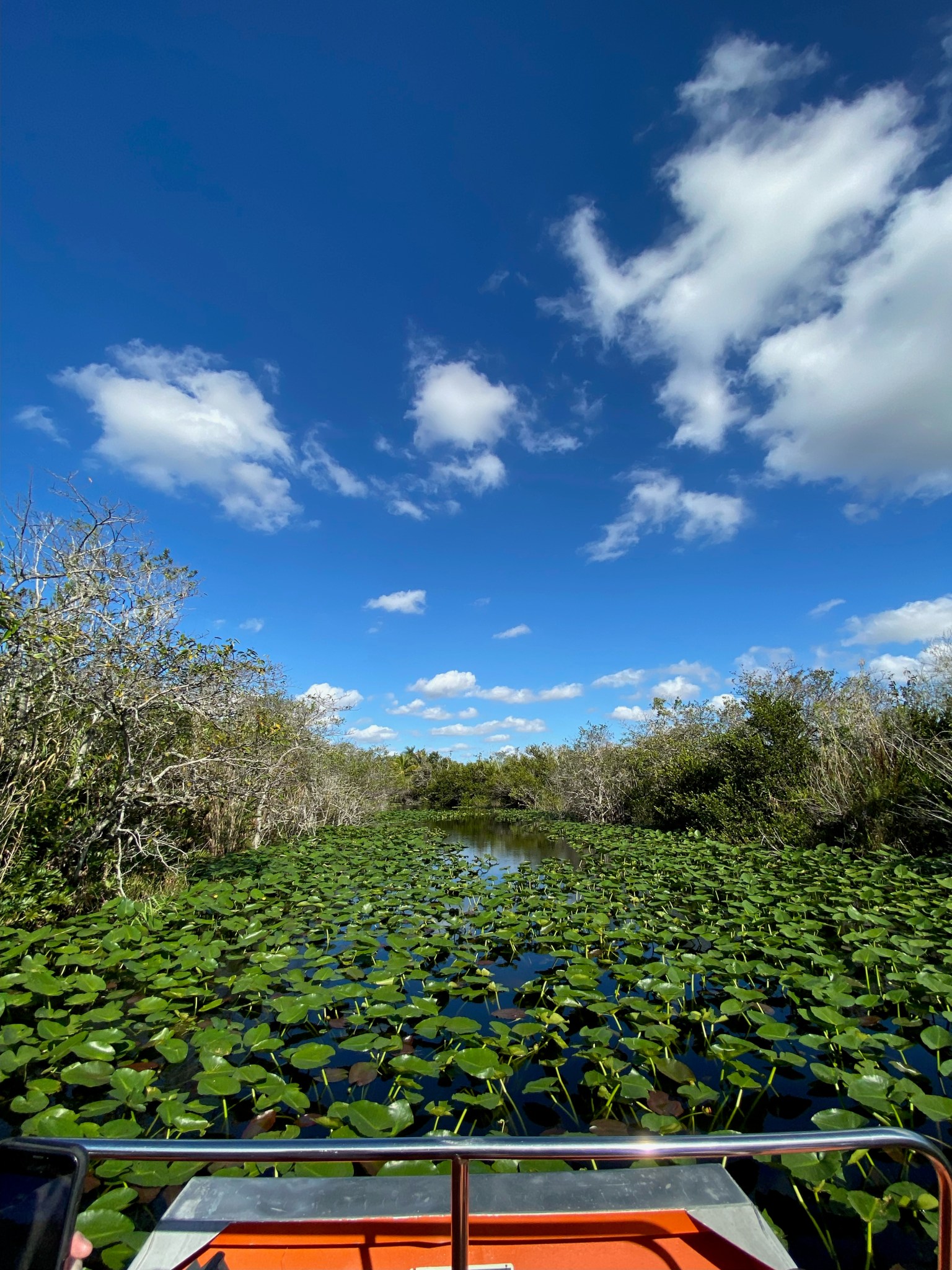 Fun in the Sun – MIAMI EDITION – ALLI DONOVAN